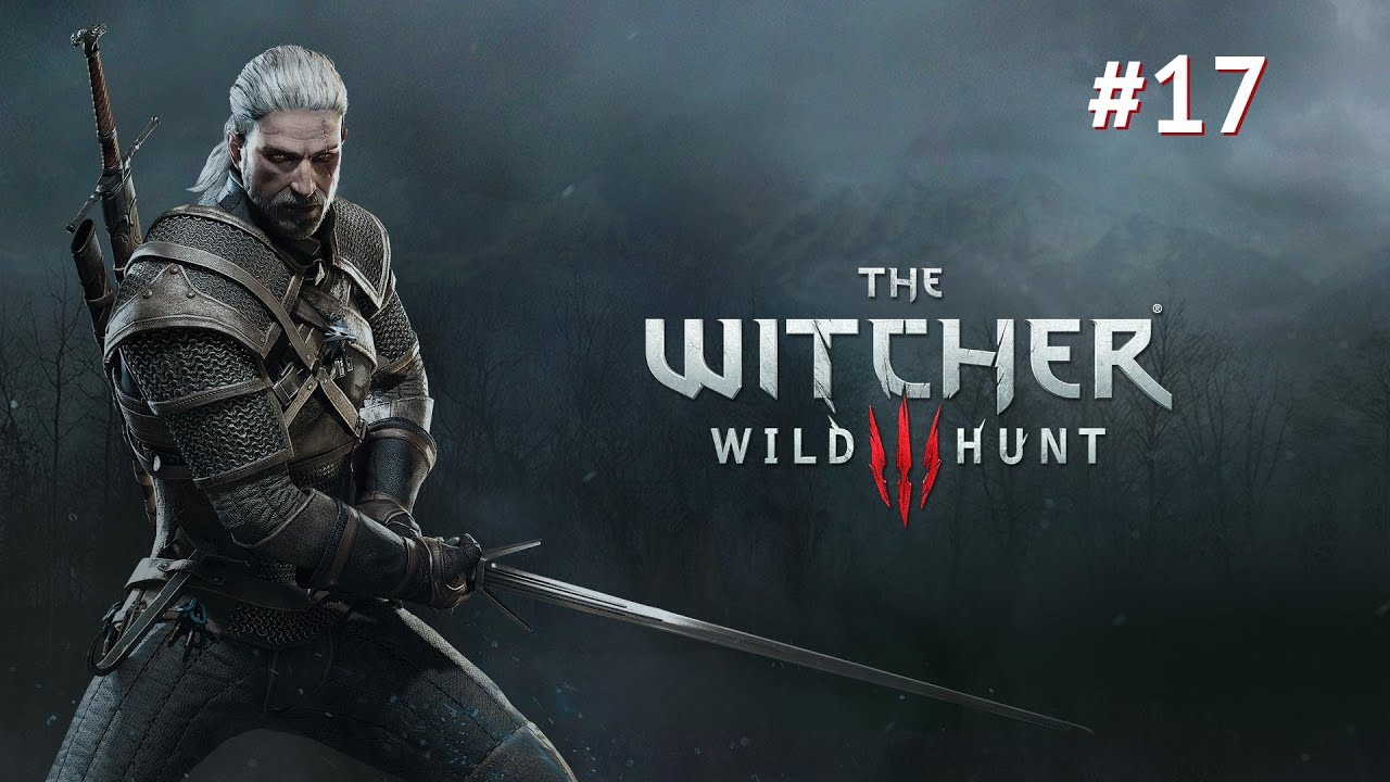 #17/ The Witcher 3 - LA LIBÉRATION D'ANNA STRENGER - YouTube