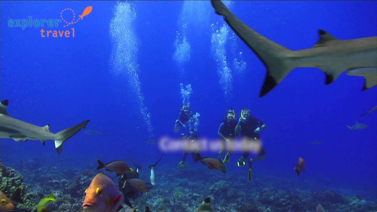 Become an Explorer Personal Travel Agent | Online Travel Agency ...