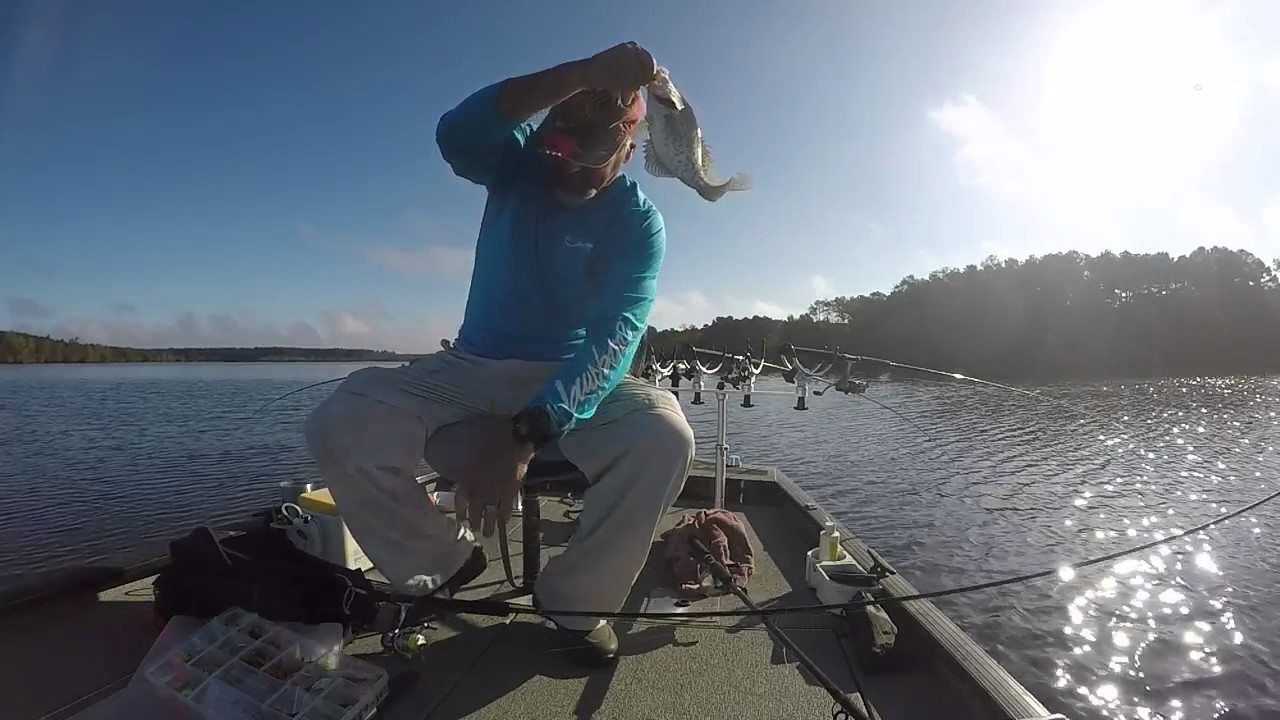 Spider rigging for crappie at Crooked Creek Lake, La. - YouTube