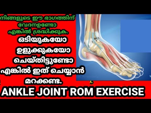 Ankle Joint ROM Exercise/Exercise For Stiff Ankle #Fracture ...