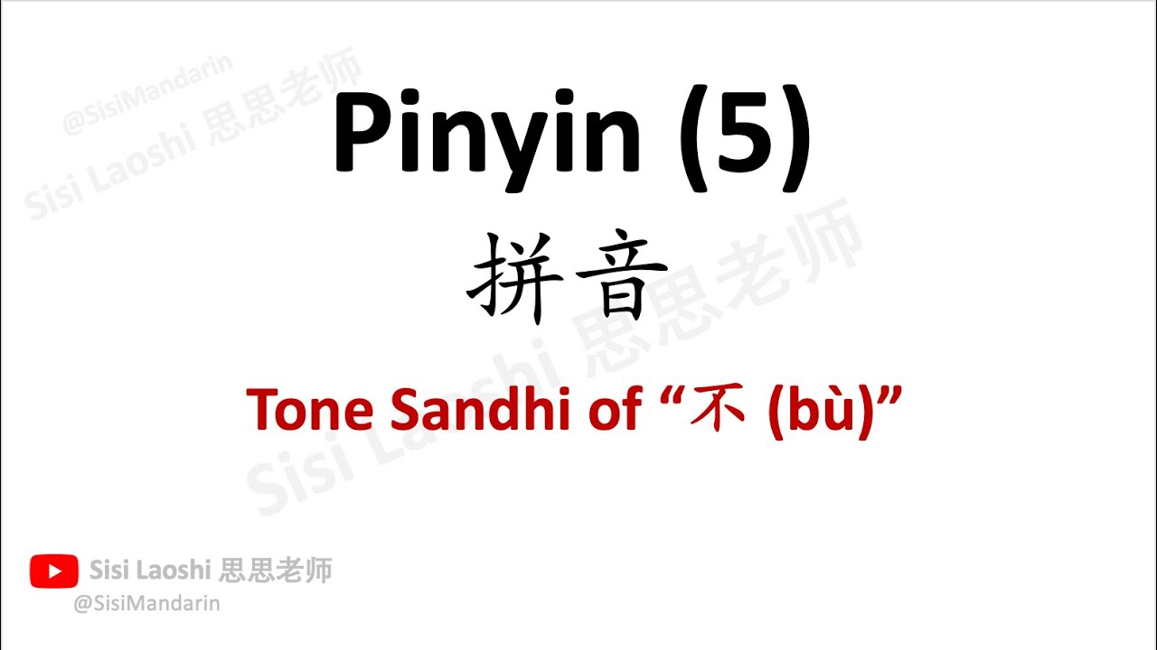 pinyin 拼音 (5) - Tone Sandhi of 不 bù, tone change | Learn Chinese ...