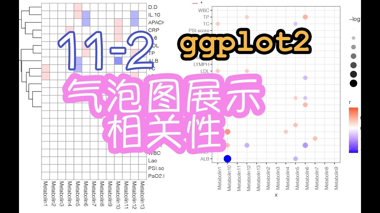 手把手教你ggplot2画气泡图展示两矩阵相关性——晴学R11-2 - YouTube