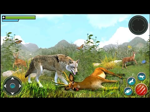 Wolf Game : Wild Animal Wars - Android Gameplay - YouTube