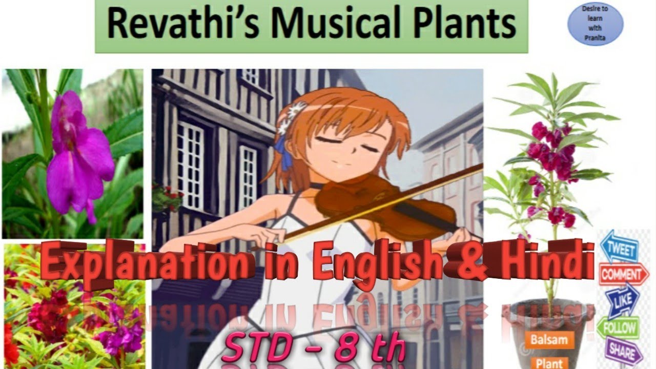Revathi's Musical Plants - STD 8th( English) Maharashtra State Board ...