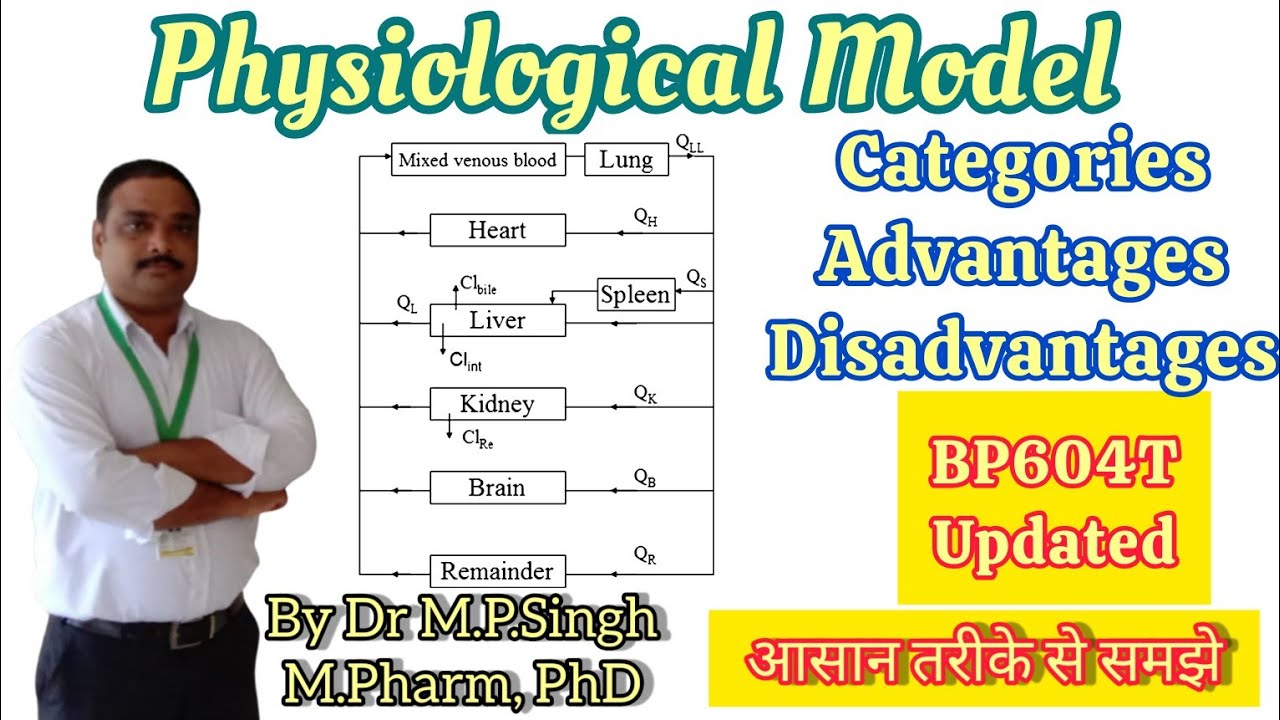 Physiological Model | Pharmacokinetic Models | Biopharmaceutics ...