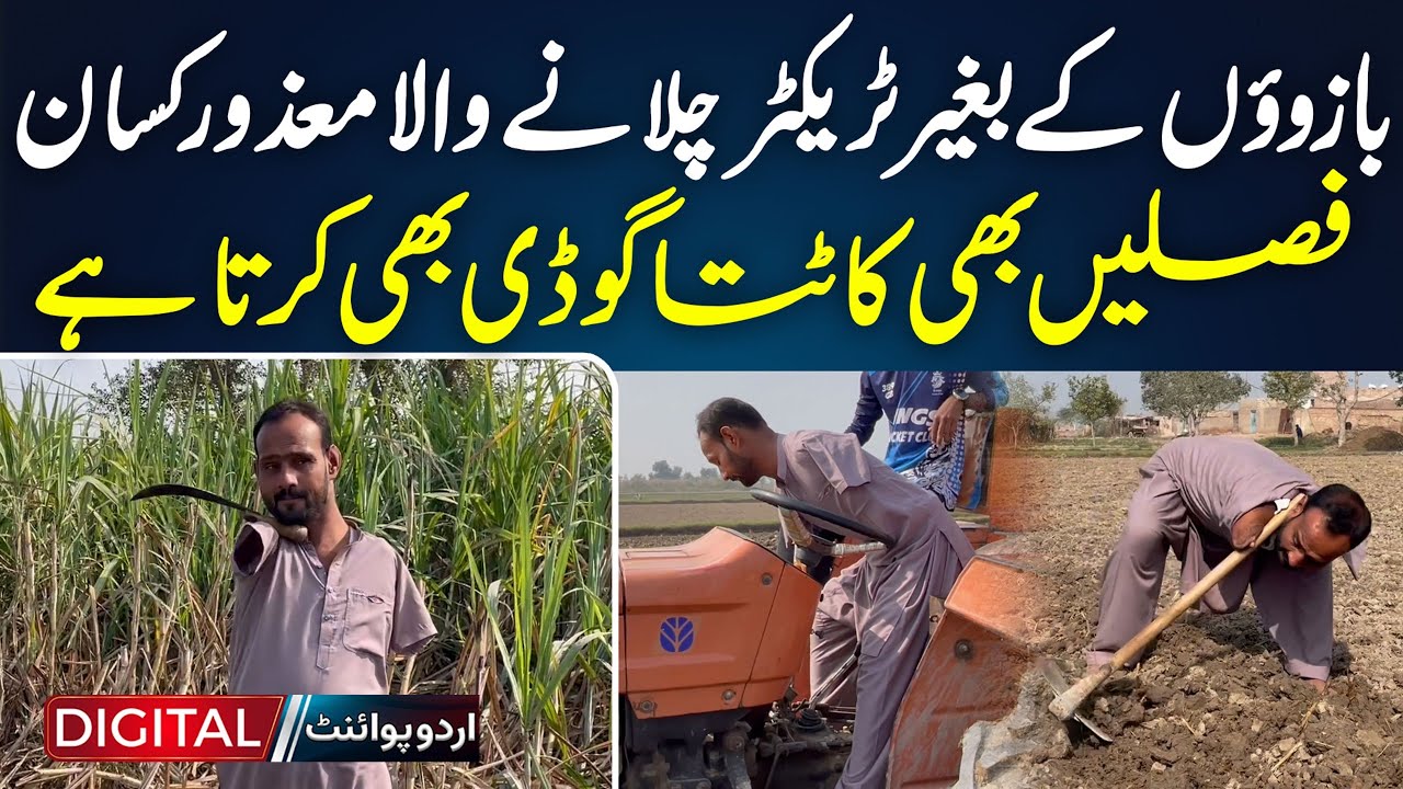 Disabled Farmer Who Drives Tractor Without Arms, He Also Harvests Crops ...
