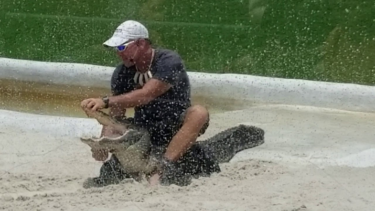 Gator Boys Alligator handler - YouTube