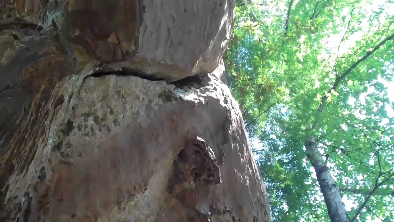 Subsistence Living Ancient Indian, Cro-Magnon, Neanderderthal Hunter ...