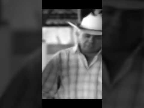 el caballo rucio moro - YouTube