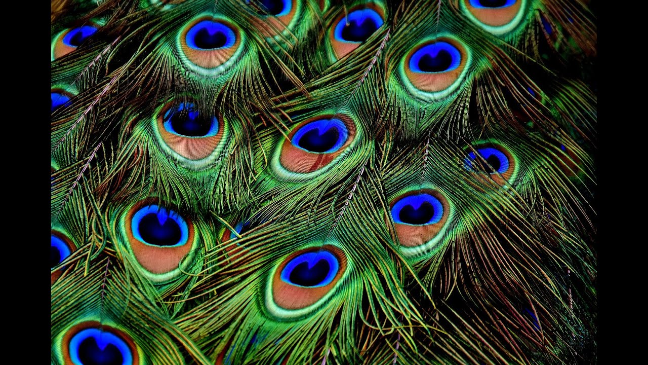 How to Design | Reuse Pattern with Generated Constraints from Spec Tree ...