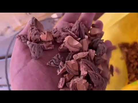 Walnut/Almond Nut Sorting Machine For Kernel and Shell Separation With InGaAs Technology #sortex ...