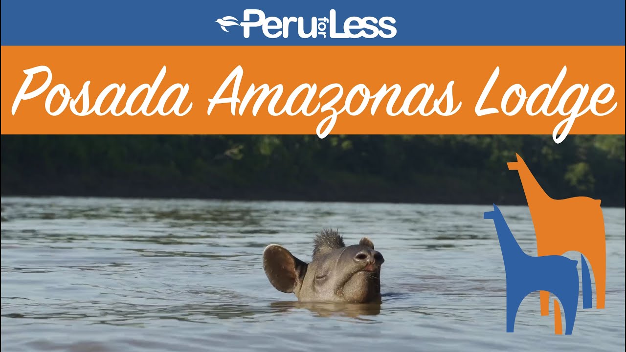 Tour Highlights: Posada Amazonas Lodge - YouTube
