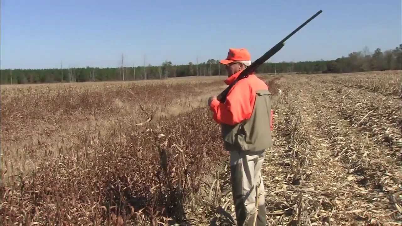 Hunt Fish University_Pheasant Flush - YouTube
