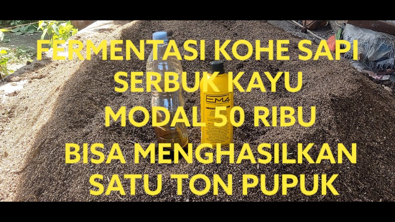 PROSES PEMBUATAN PUPUK KOMPOS DARI KOHE SAPI DAN SERBUK KAYU # ...