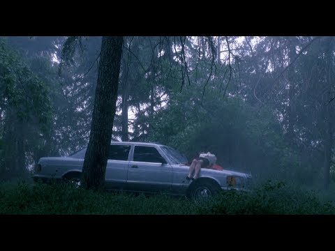 The Neighbourhood - Daddy Issues (Poison Ivy)