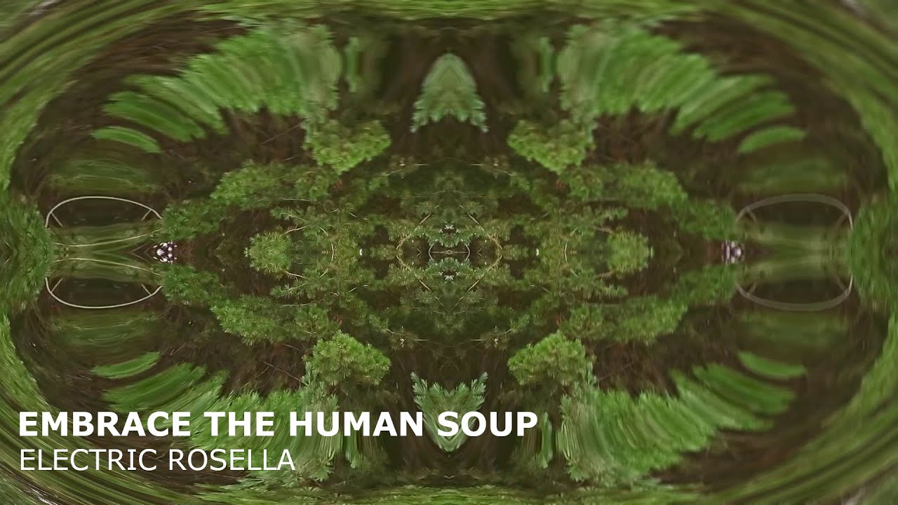 Embrace The Human Soup - Electric Rosella - YouTube