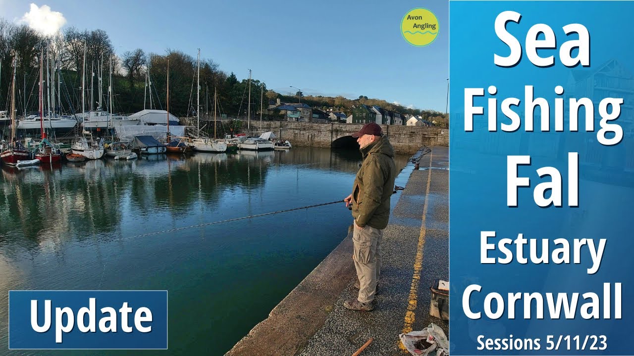 Sea Fishing UK - The Fal Estuary - Update - Falmouth Cornwall - 5/11/23 ...