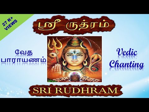SRI RUDRAM - VEDIC CHANTING ON LORD SHIVA - YouTube