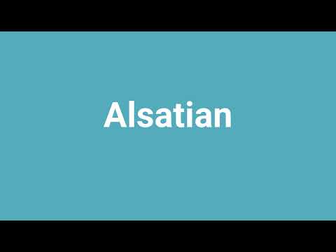 'Alsatian' Meaning and Pronunciation - YouTube