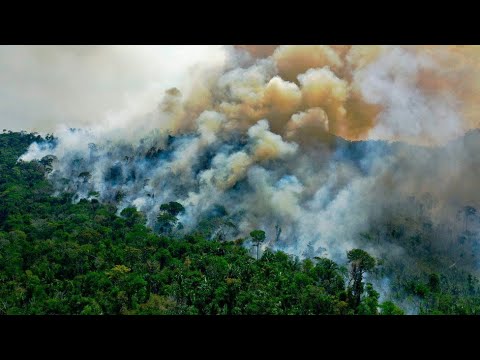 Amazon On Fire!!! - YouTube