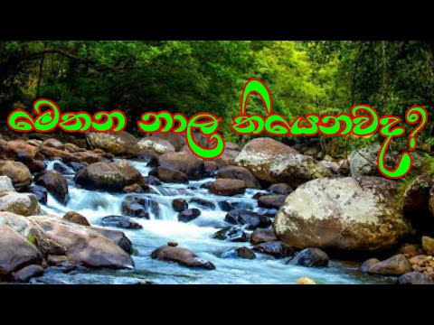 බෙලිහුල් ඔය /නාන්න හොදම thanak - YouTube