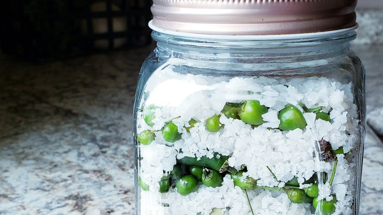 CHILES Y CHILTEPINES CURTIDOS EN SAL 🌱🌶 - YouTube