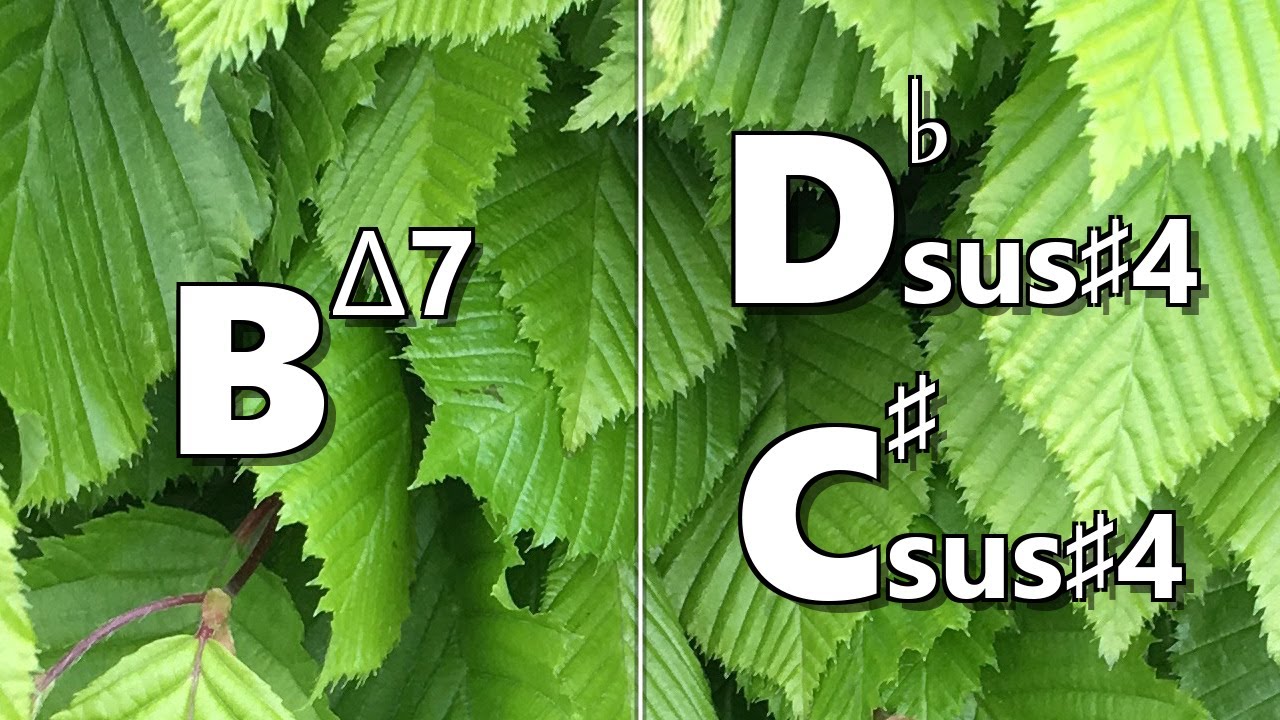 Bmaj7 to Dbsus #4 (C#sus #4) Backing Track - YouTube