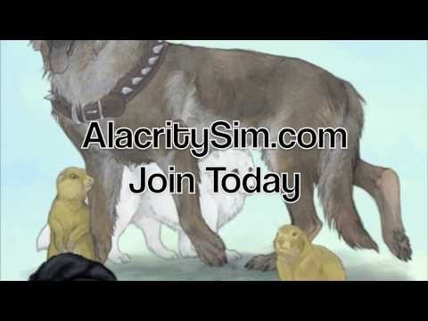Alacrity - dog game simulation of the century - YouTube