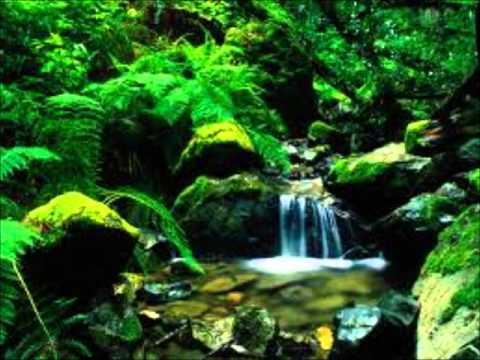 Imagens Relaxantes - YouTube