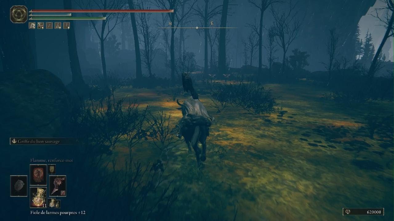 ELDEN RING DLC - Chemin vers le boss Chevalier Putride/Cote Ceruleen ...