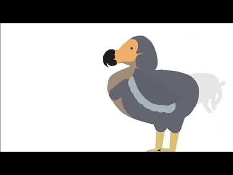 dodo walk animation - YouTube