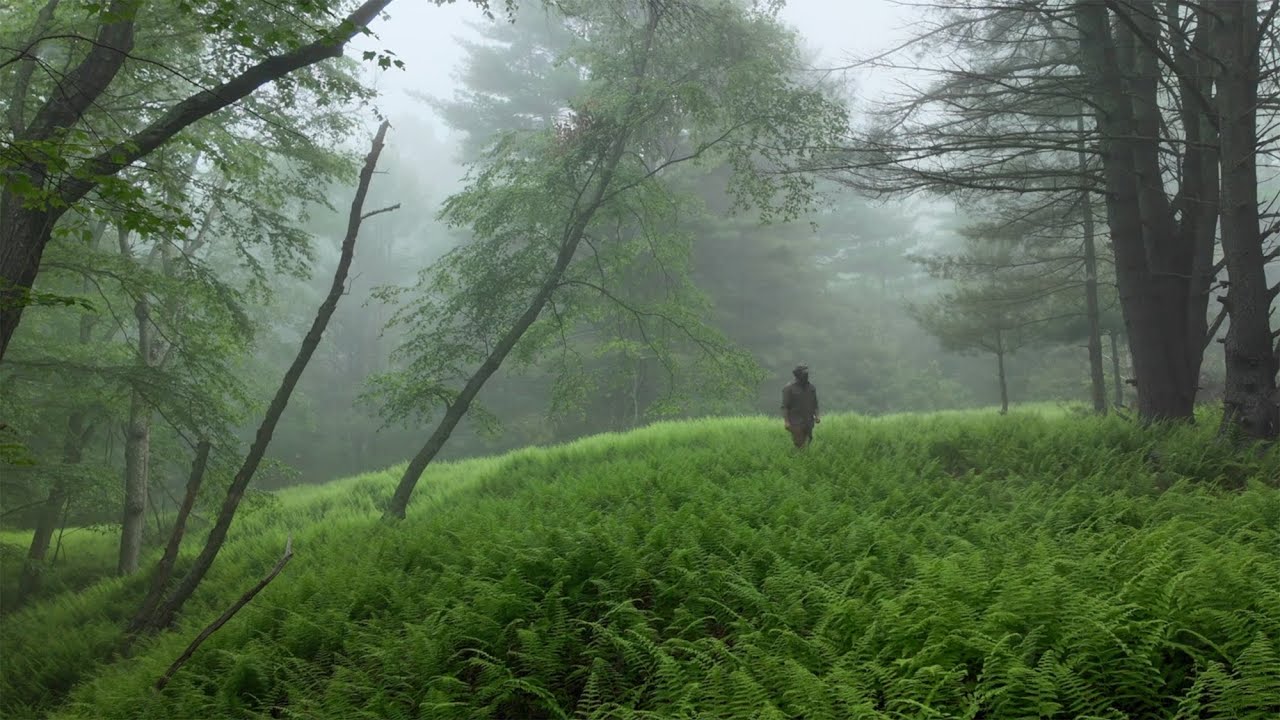 Making it Work as a Possible Genius, an American Robin and New ...