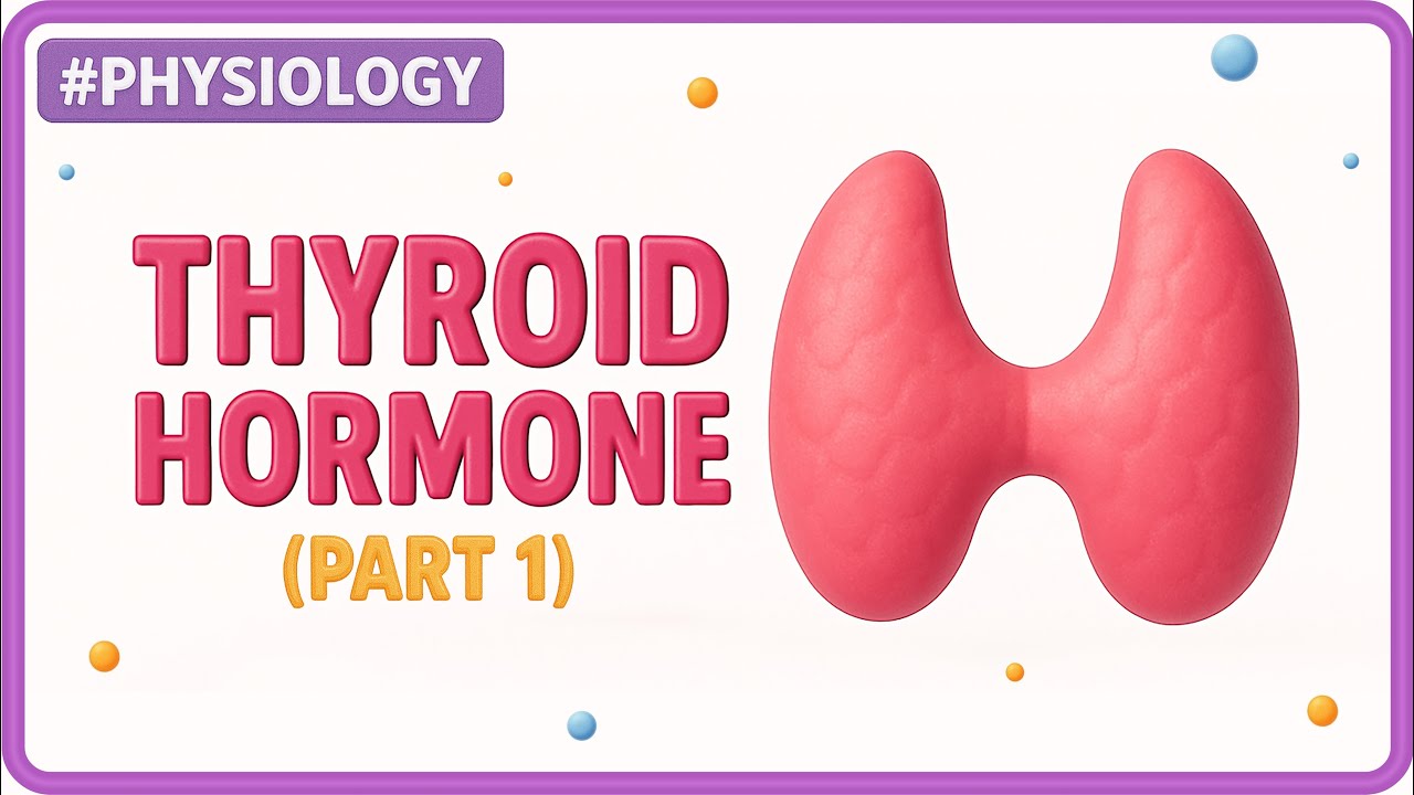 5. Thyroid Hormones Physiology (Part 1) | USMLE Step 1 | High-Yield ...
