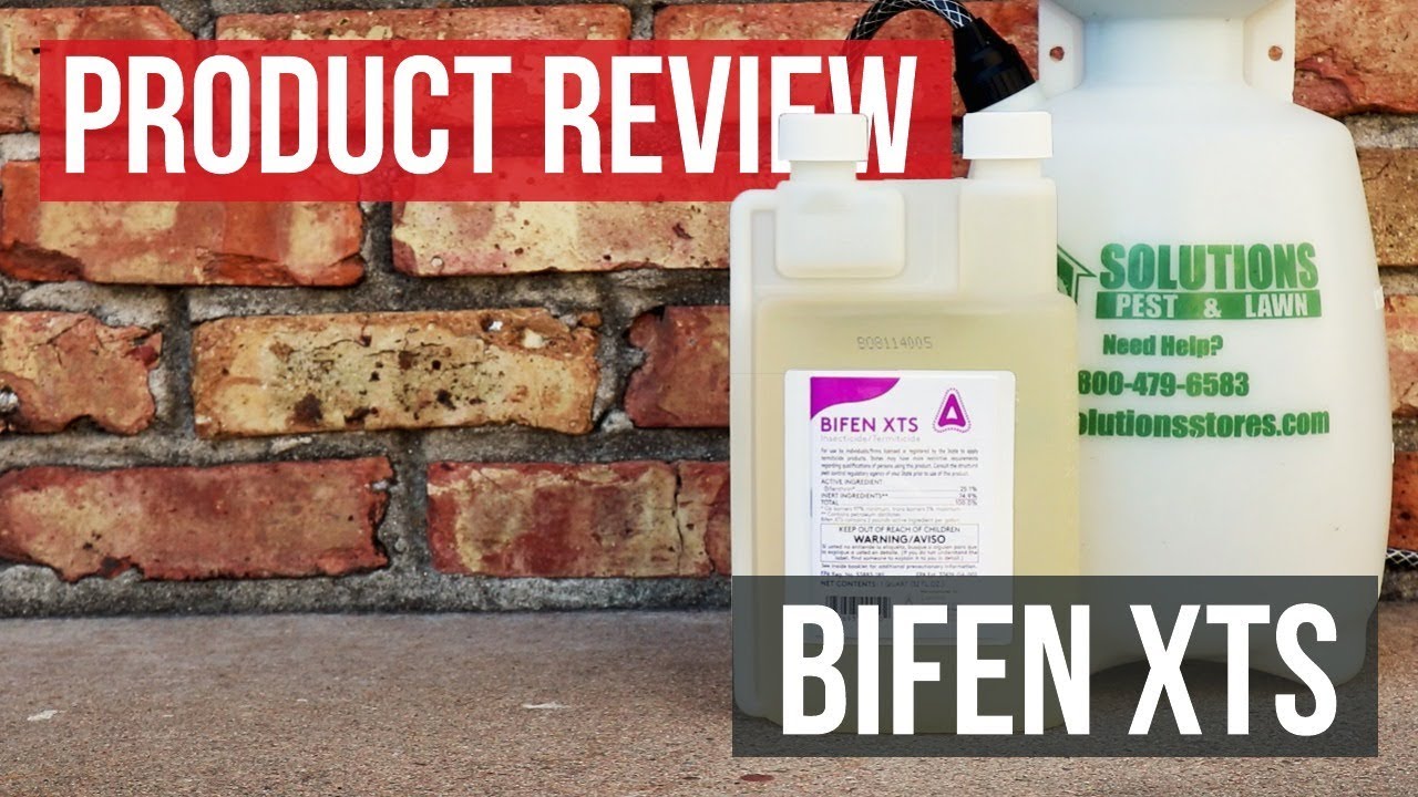 Bifen XTS: Product Review - YouTube