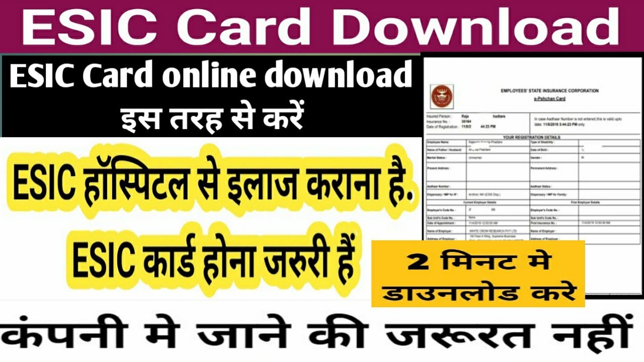 ESIC card download kaise kare | esic e pehchan card kaise download ...