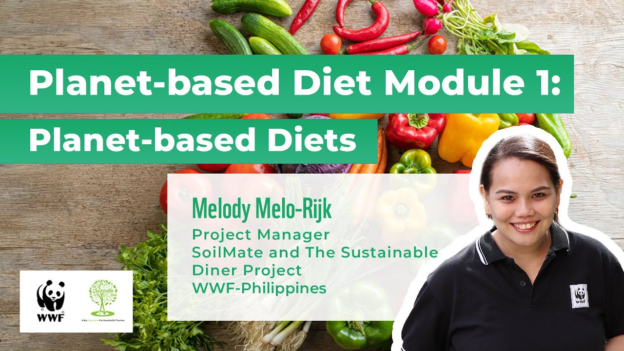 Planet-based Diet Module 1: Planet-based Diets - YouTube