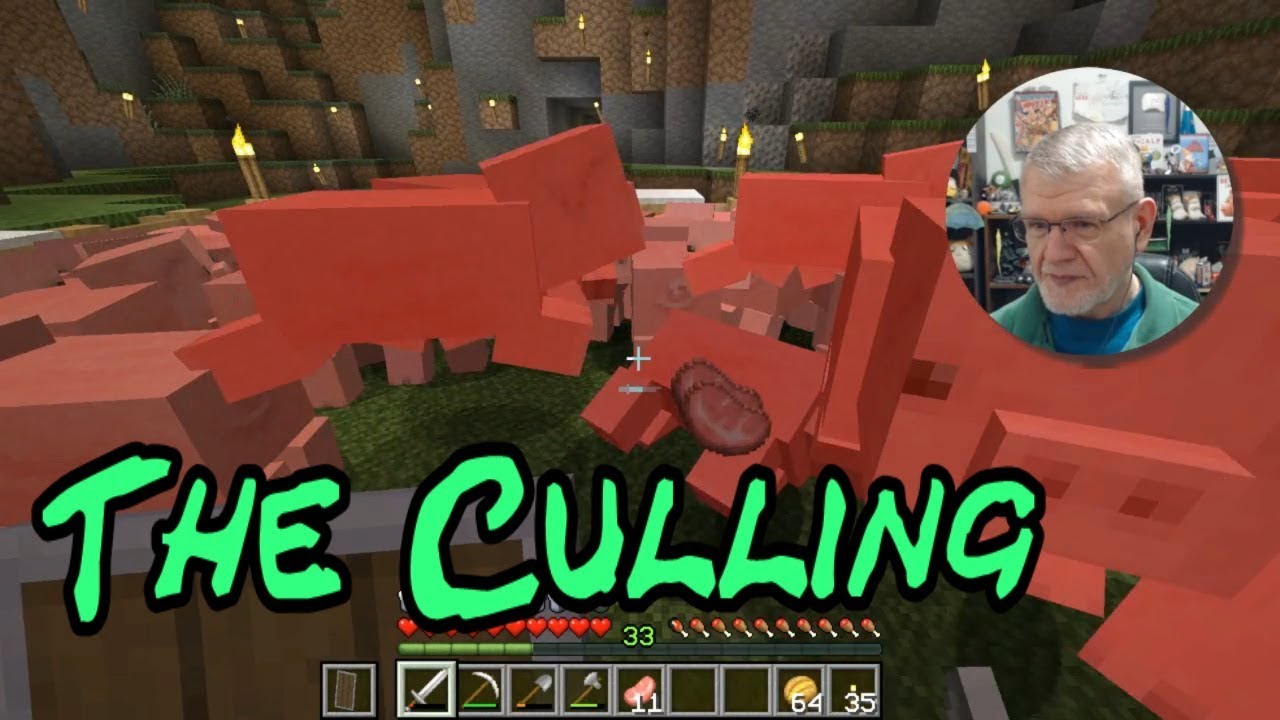 Minecraft - Amplified Minecraft #49 | Culling Begins Relaxation Series ...