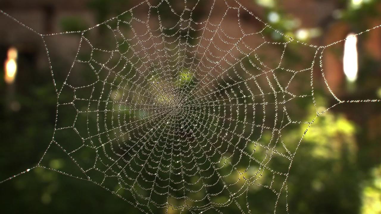 Spider Web Generator - YouTube
