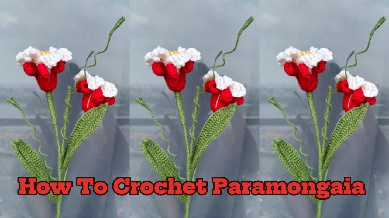 How To Crochet Paramongaia | Hướng Dẫn Móc Hoa - YouTube