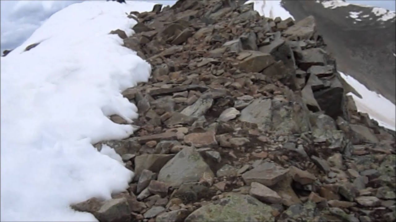 Woods Explorer Application - YouTube