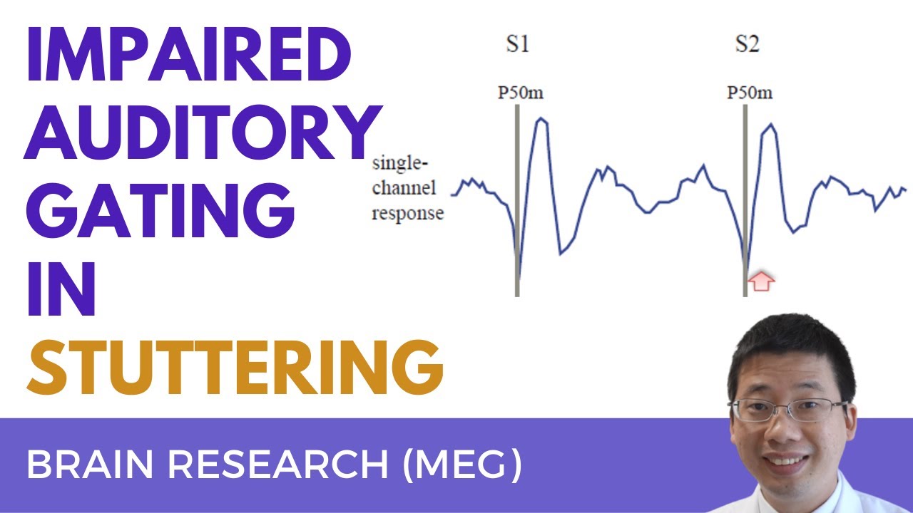 My magnetoencephalography study revealed abnormal auditory gating in ...