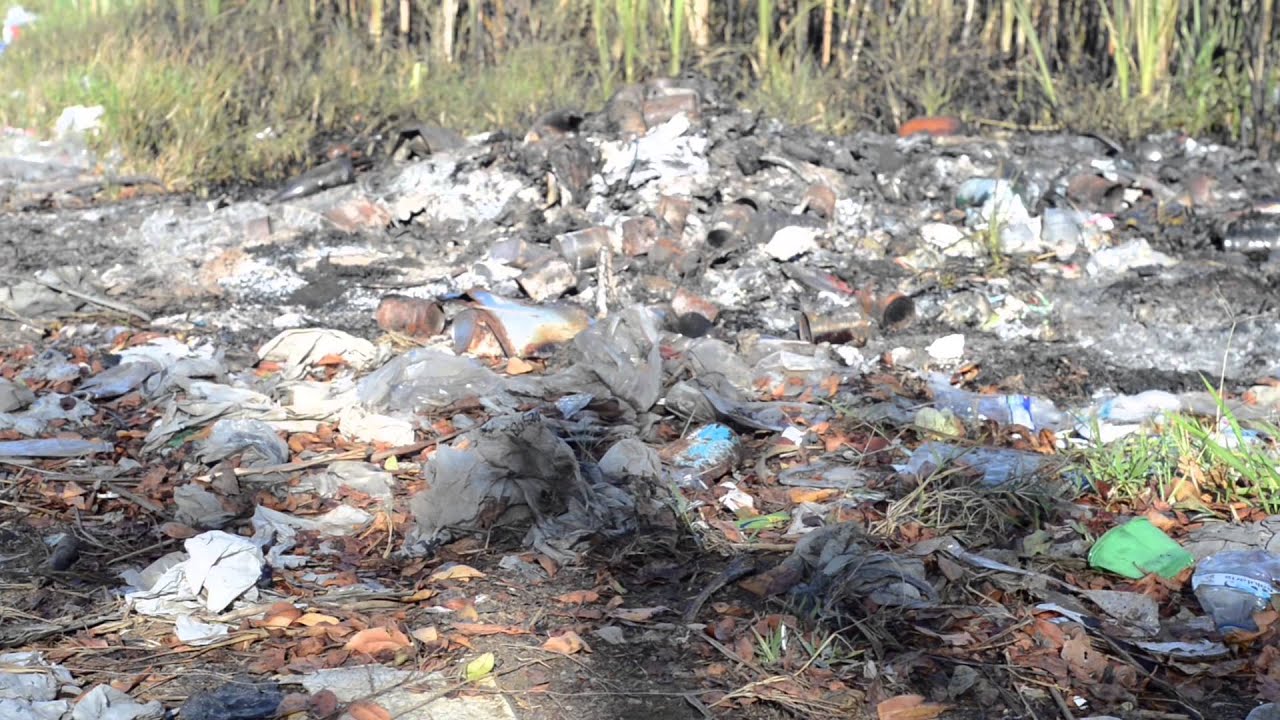 Alexis Molinares sobre vertederos en Puerto Rico - YouTube