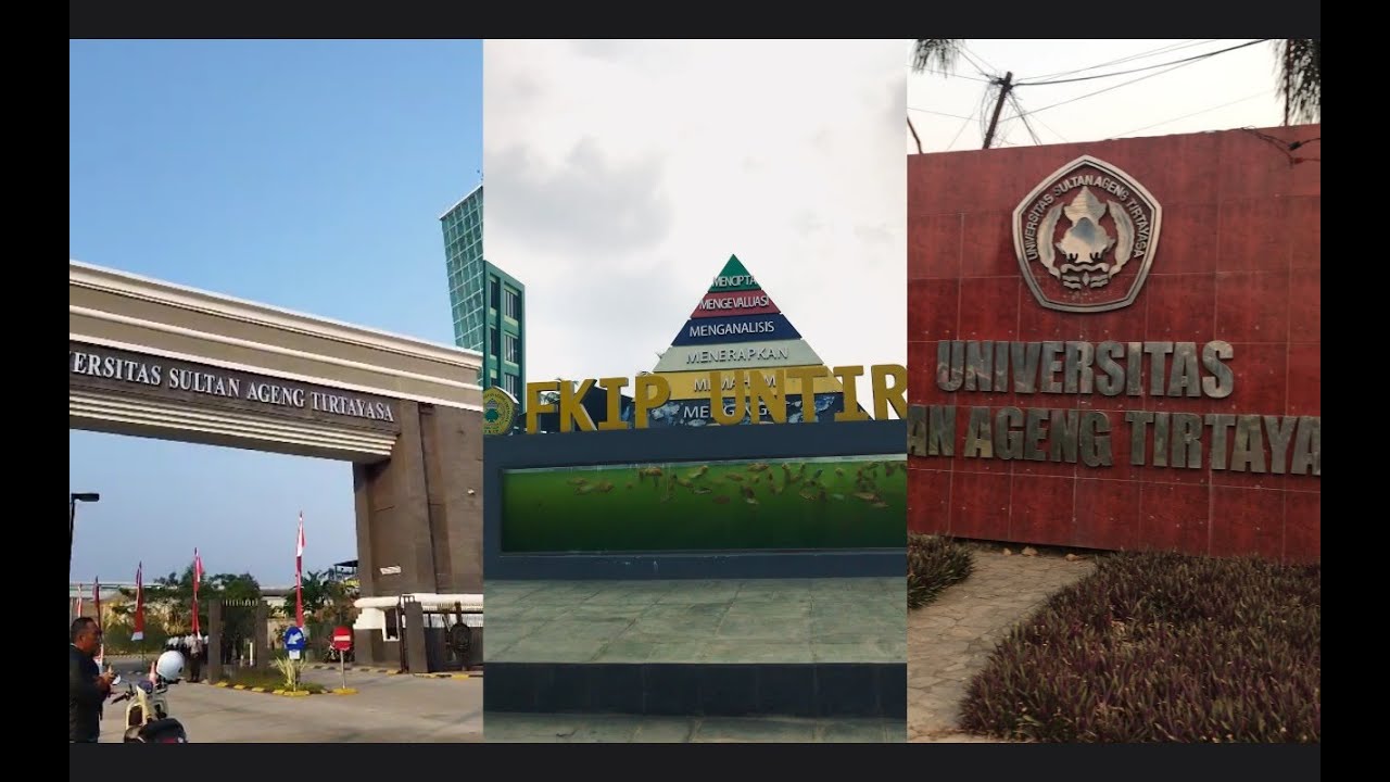 METODE ACCIDENTAL SAMPLING - KELOMPOK 1 - YouTube