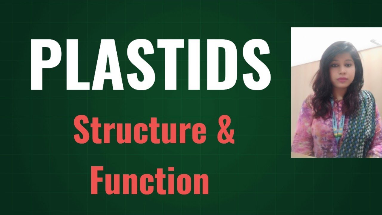 Plastids || Structure and Function || Biology || ScienceByDeeba || EASY ...