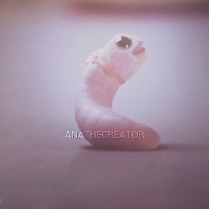 LEECHES MV 10/10 sad ending tho 💔💔 #MELANIEMARTINEZ #Leechesmusicvideo ...