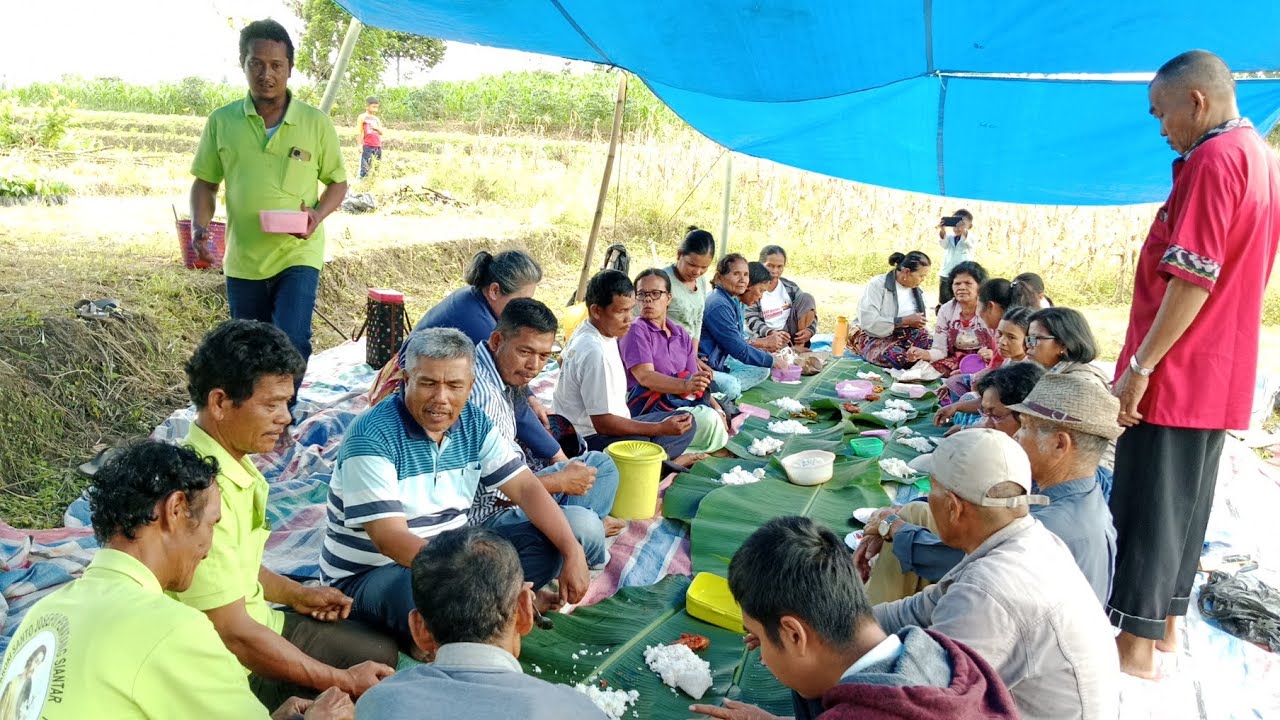 Pemberkatan Ladang Dan Benih - Marsipadaian - Patut Sitiruon - YouTube