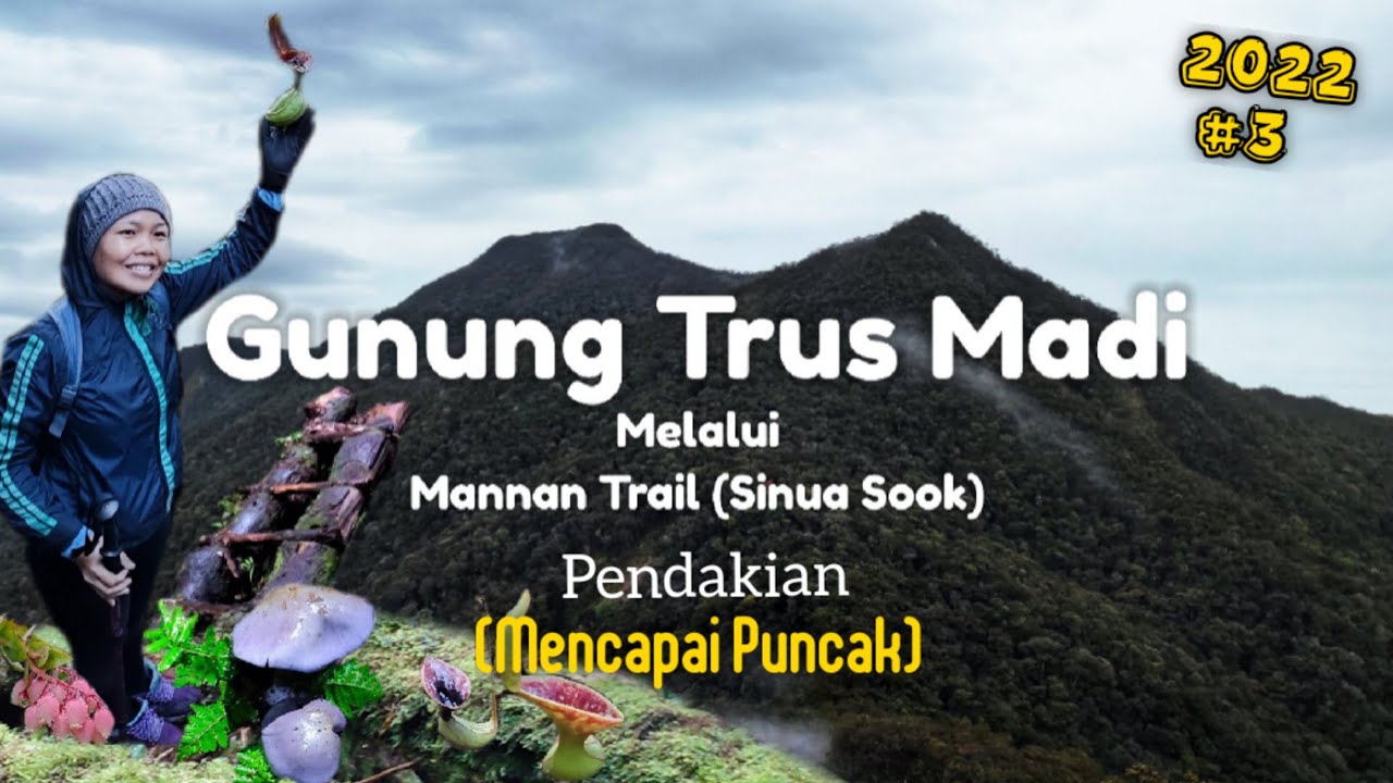 Mendaki Gunung Trus Madi - Trusmadi 2022 (Day-3) To The Peak #3 - YouTube