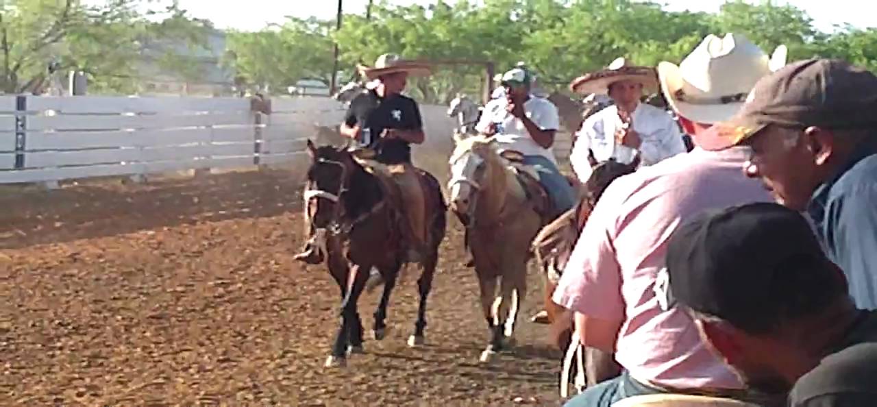 Martin La Galla (EL Alazan Y El Rocio) - YouTube