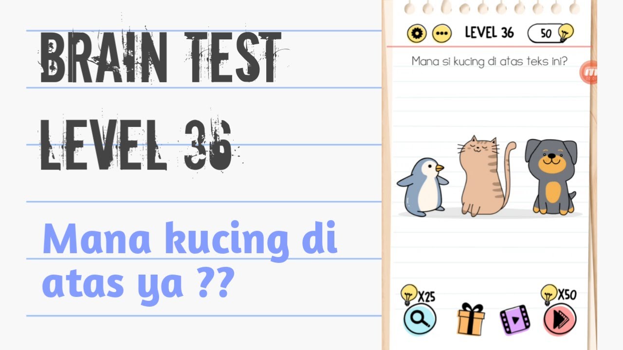 Brain test level 36 - Mana ya kucing yang di atas?? - YouTube