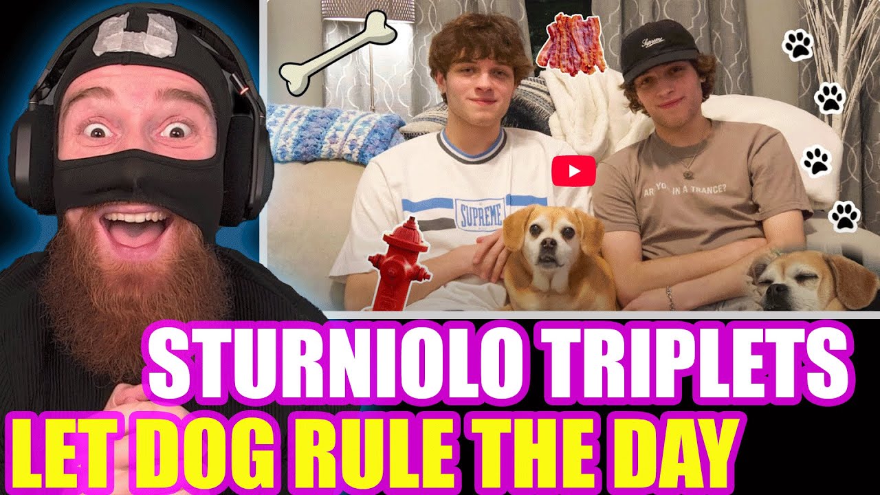 STURNIOLO TRIPLETS LET DOG TREVOR RULE THEIR DAY... (a good boy) - YouTube